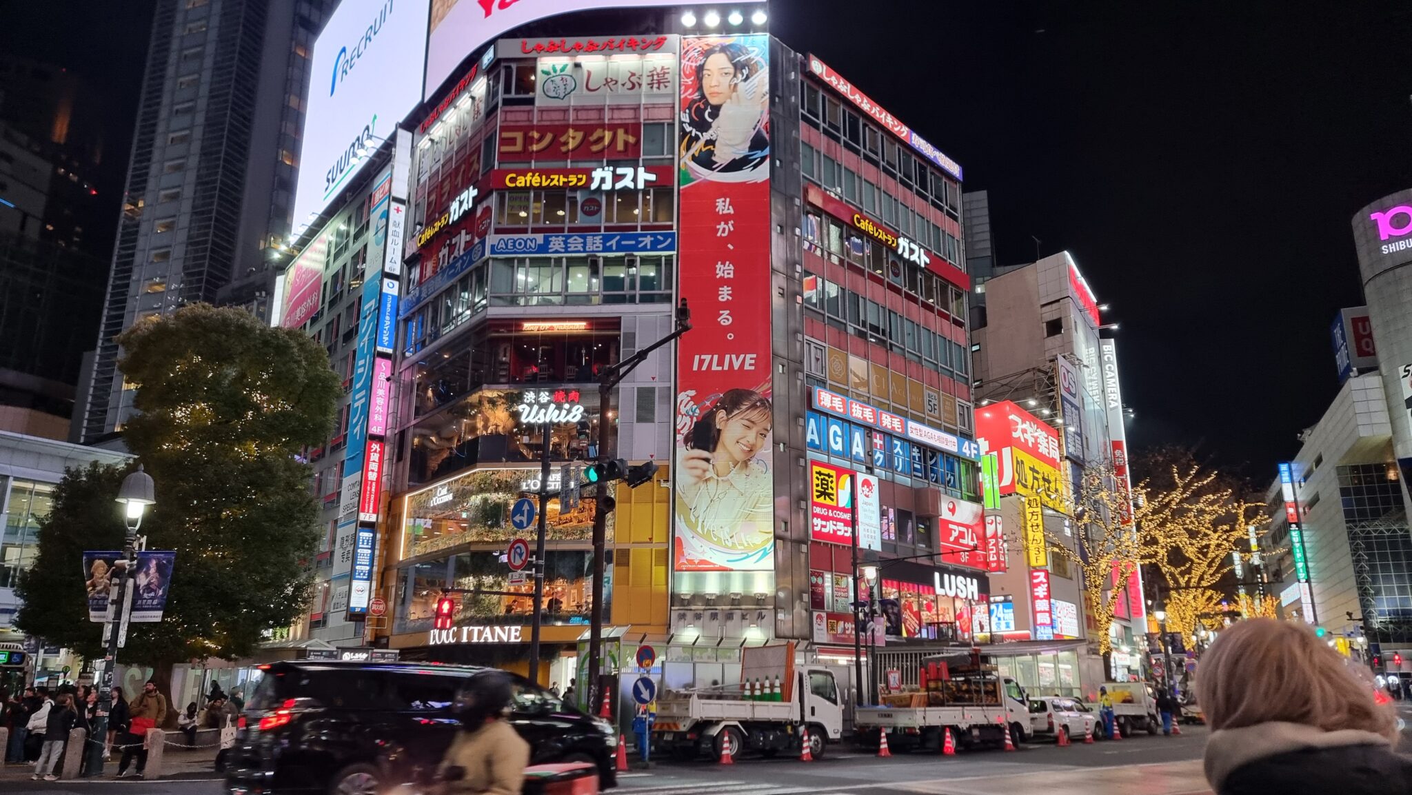 Exploring Japan Golden Route Tokyo, Kyoto & Osaka Jan 2025 Part 1 ...